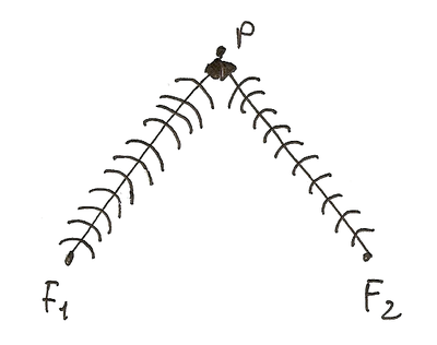 2. Movimiento ondulatorio. Ondas. - Portfolio Academico